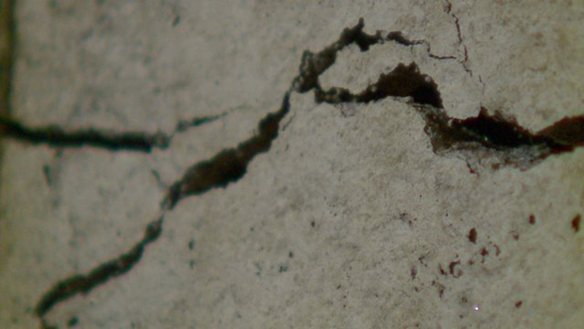 Program launched to help victims of crumbling foundations | fox61.com