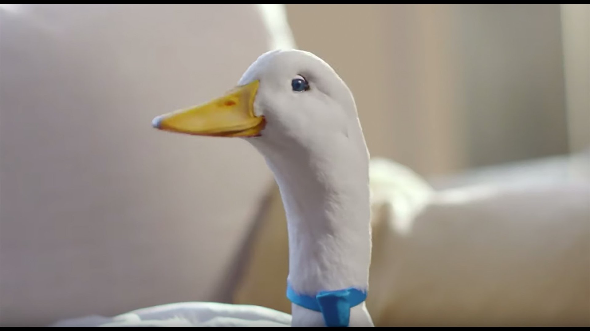 The Aflac duck is 20 years old. Here’s how he’s changed the insurance ...