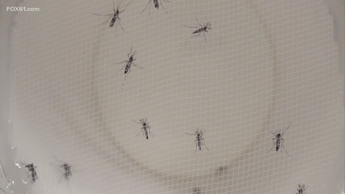 Mosquitoes carrying EEE and West Nile Virus found in Connecticut ...