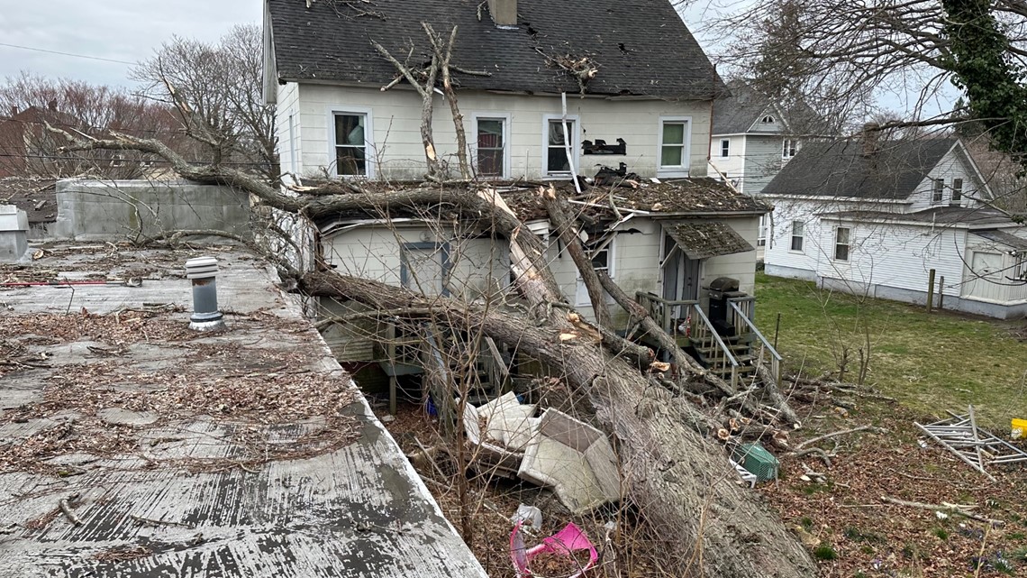 New London families displaced after massive tree falls on home | fox61.com