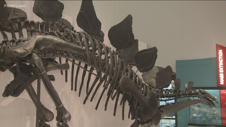 Bucket List | Hartford, CT | FOX61.com | fox61.com