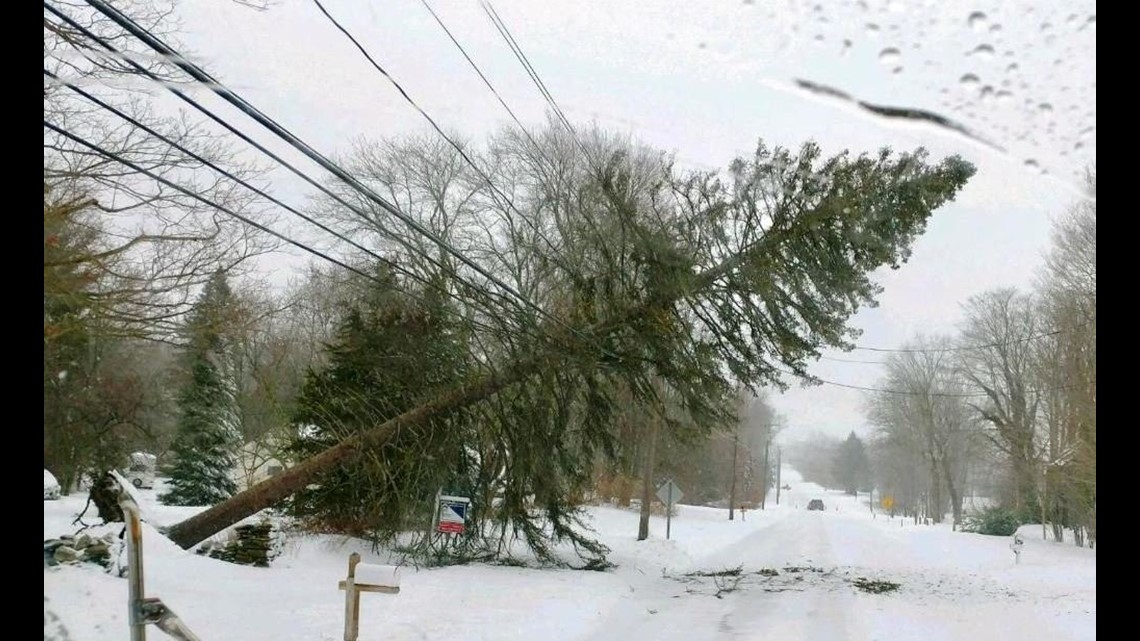 Crews busy as trees fall on powerlines across the state | fox61.com