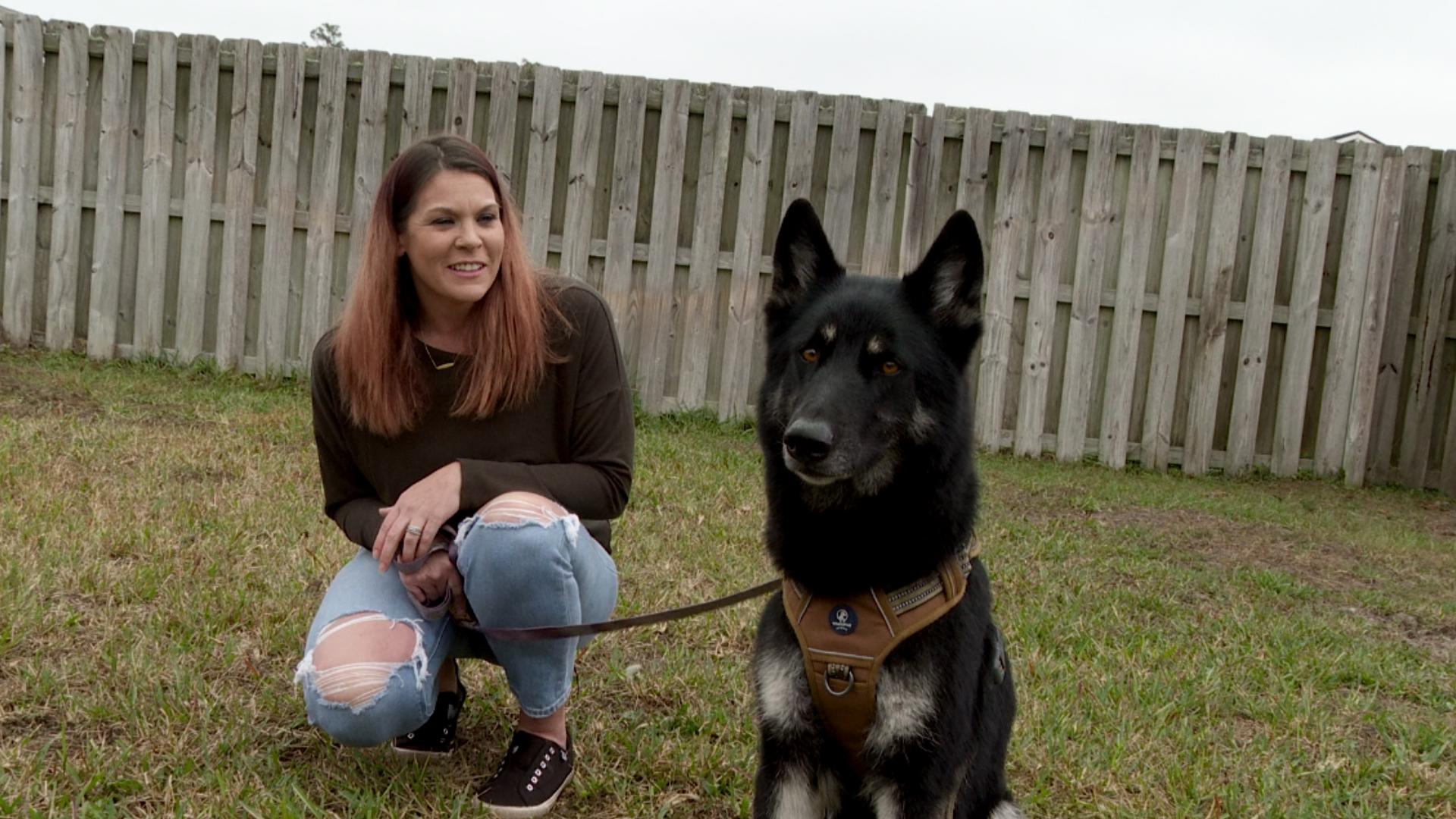 Missing dog Athena returns to Florida family on Christmas Eve | wthr.com