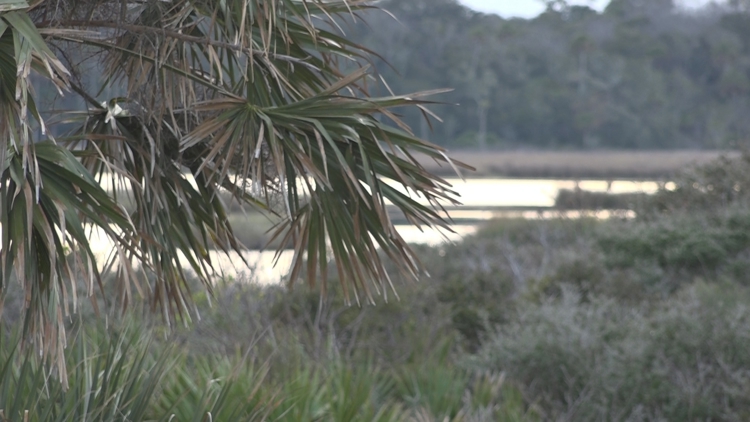 Florida Introduces New Bill to Address Land Swap Rules Amid Guana River ...