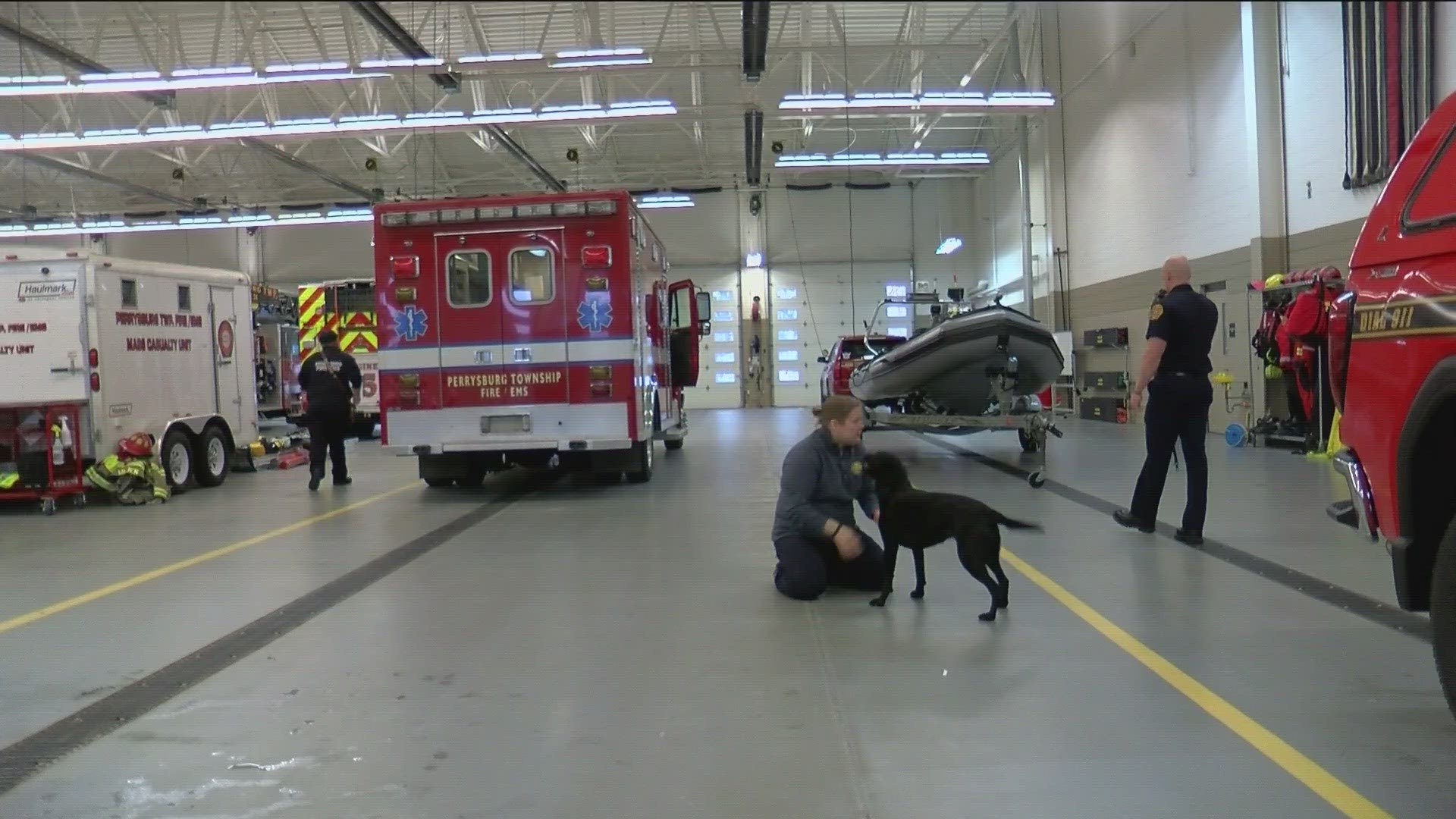 Perrysburg Township fire station dog comforts first responders | 10tv.com