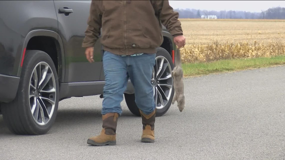 Loose mink cause chain reaction in Ohio ecosystem | fox61.com