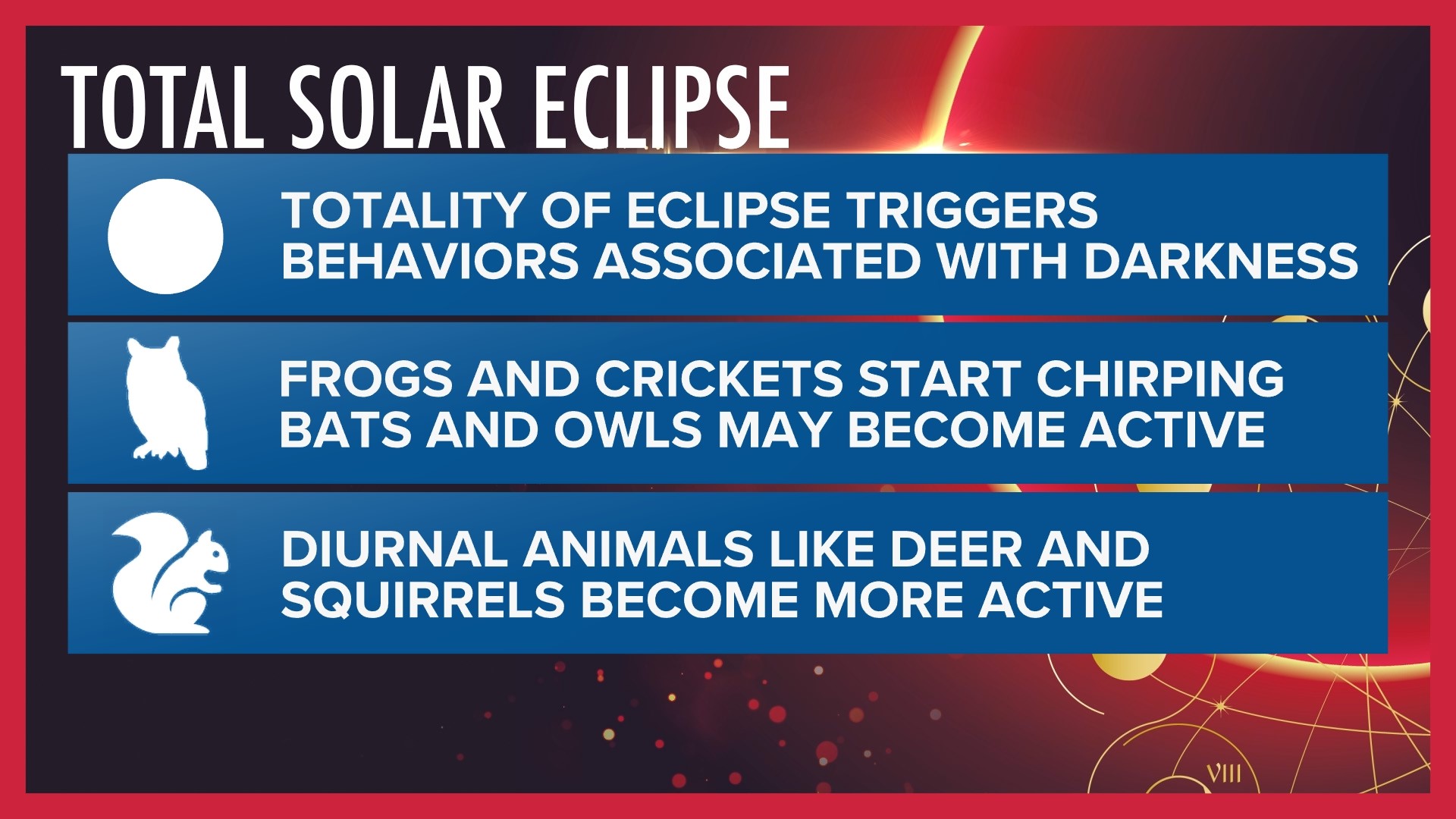 How the April 8 total solar eclipse could affect animals | 10tv.com