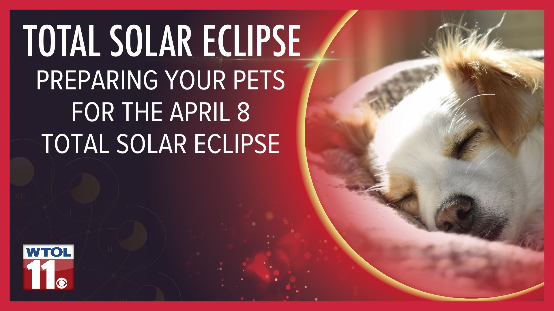 How to prepare pets for the total solar eclipse | wqad.com