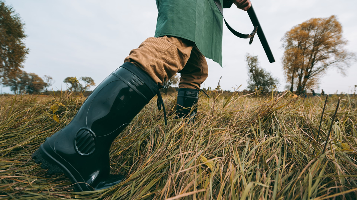 Iowa DNR hunting safety guidelines | What to wear, how to prepare ...