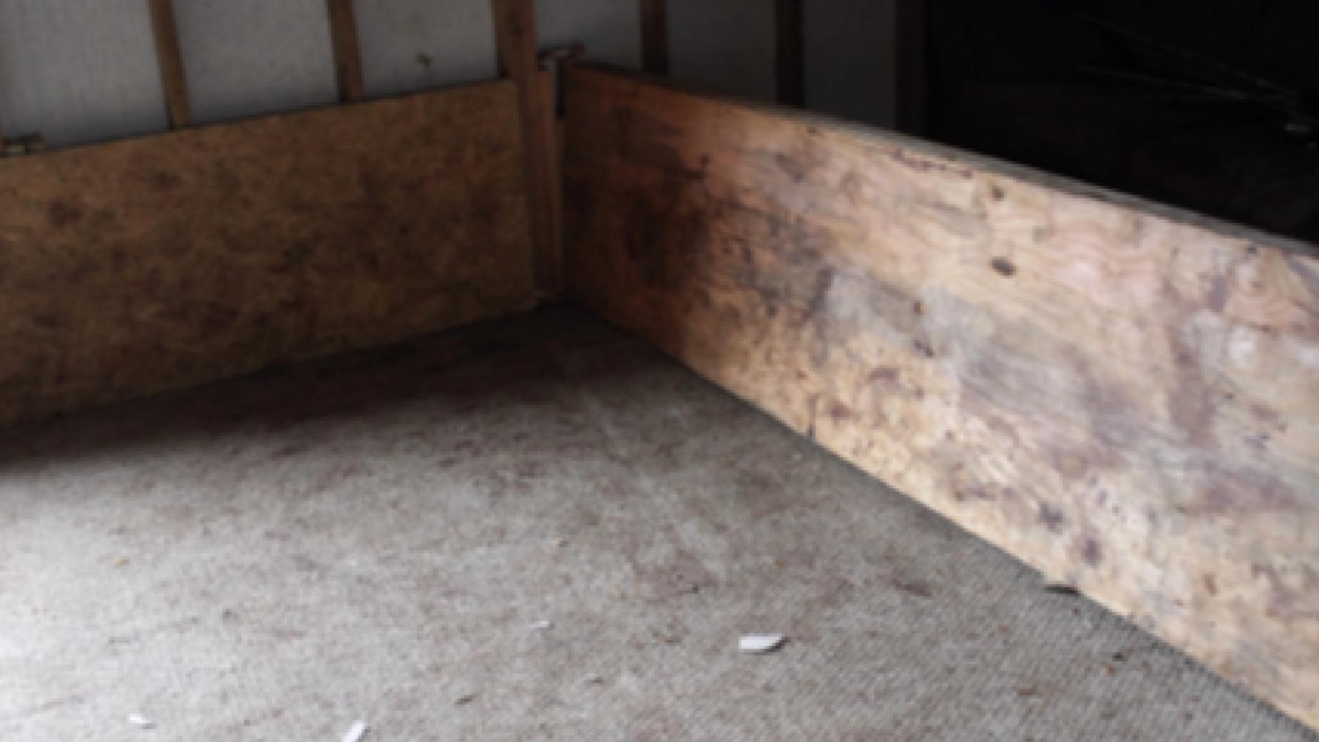 Ex-NFL player faces trial for alleged dog fighting operation in ...