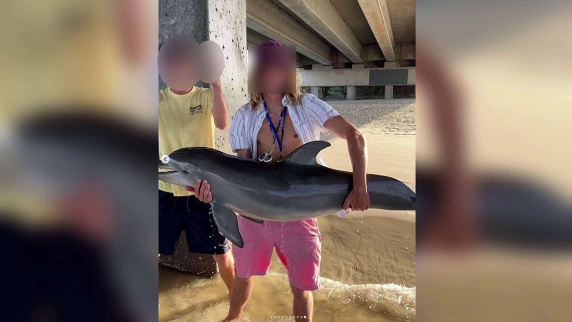 FL man investigated after holding dolphin above water for photo | 10tv.com