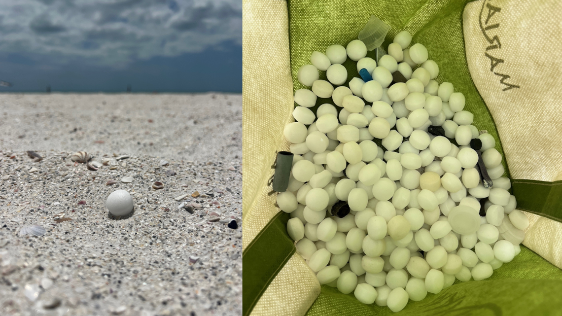 Hundreds of mothballs illegally scattered on Florida beach ...