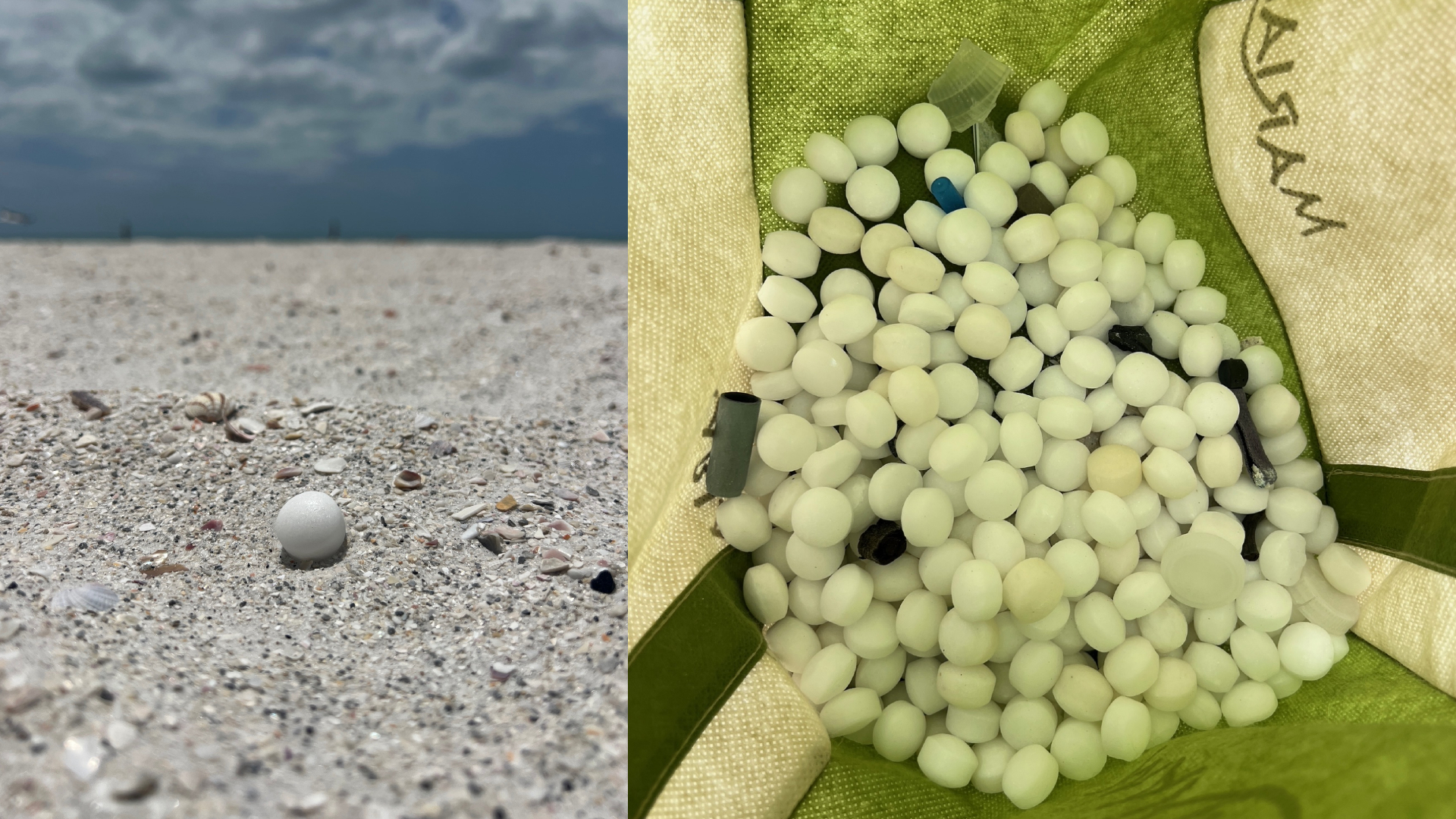 Hundreds of mothballs illegally scattered on Florida beach | wnep.com