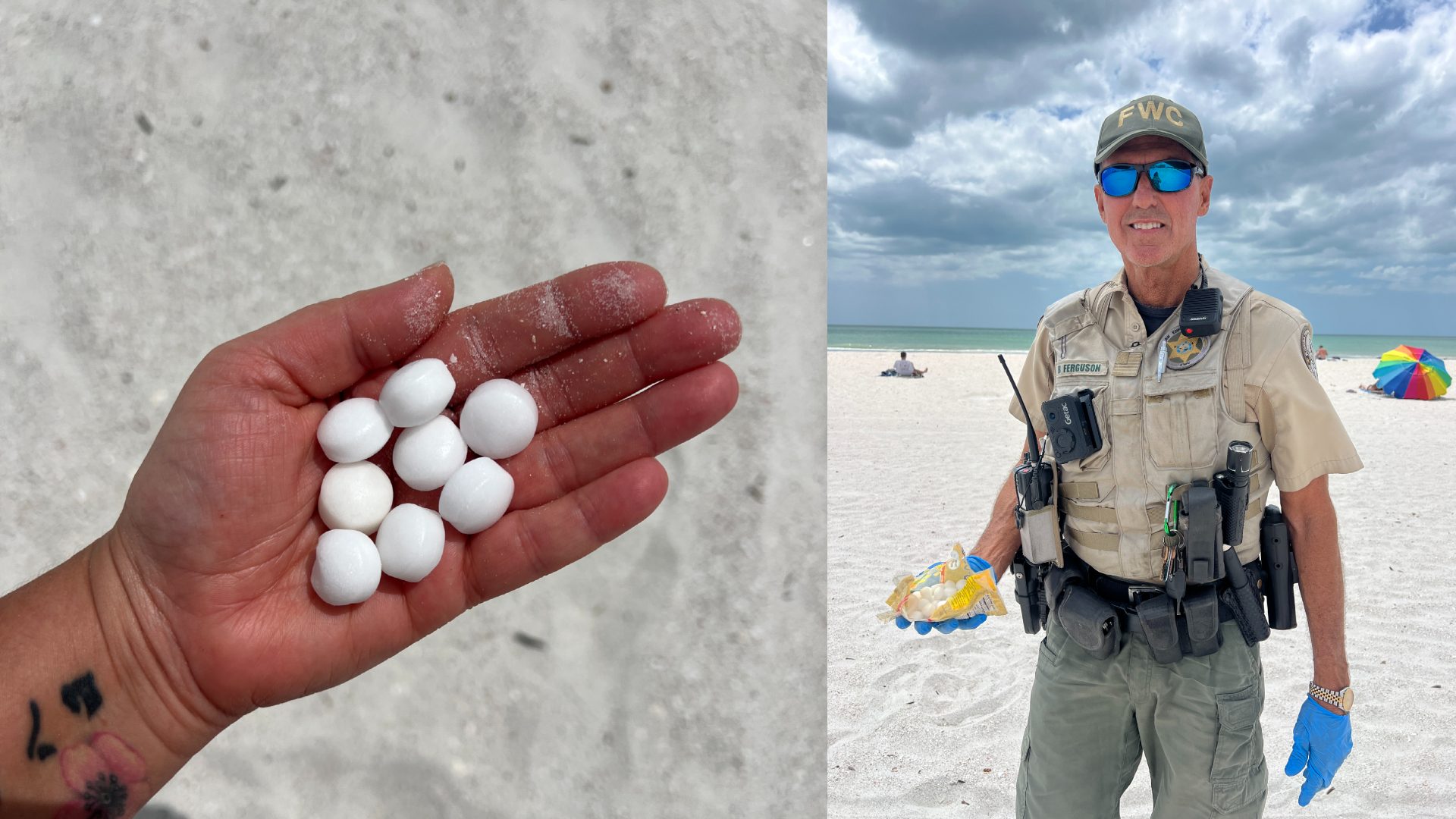 Hundreds of mothballs illegally scattered on Florida beach | weareiowa.com