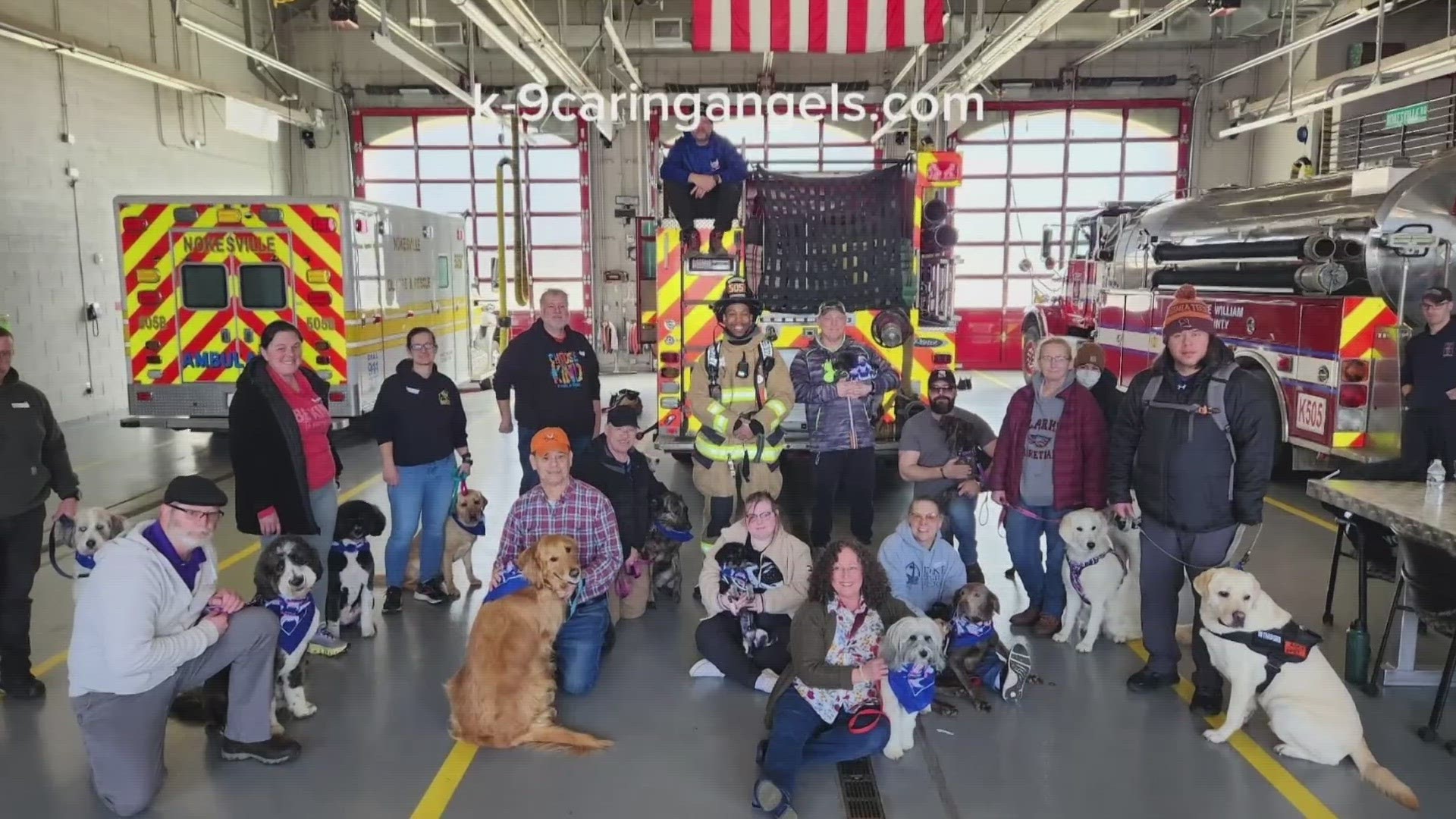 Federal rules and regulations of service animals | fox43.com