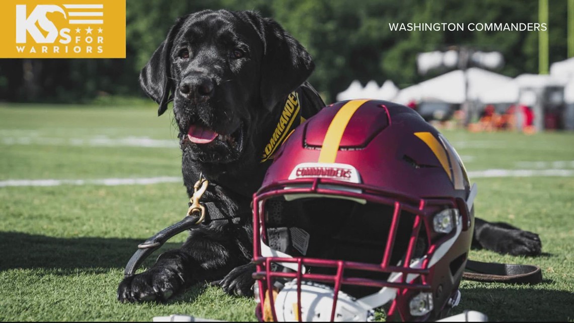 Commanders team dog becomes K9s for Warriors service dog | fox43.com