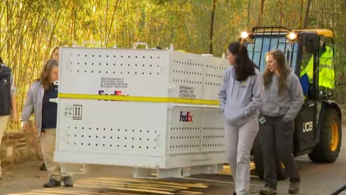 National Zoo giant pandas head back to China after 50 years | 10tv.com