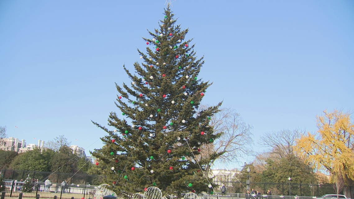 National Christmas Tree represents unity during holiday season ...