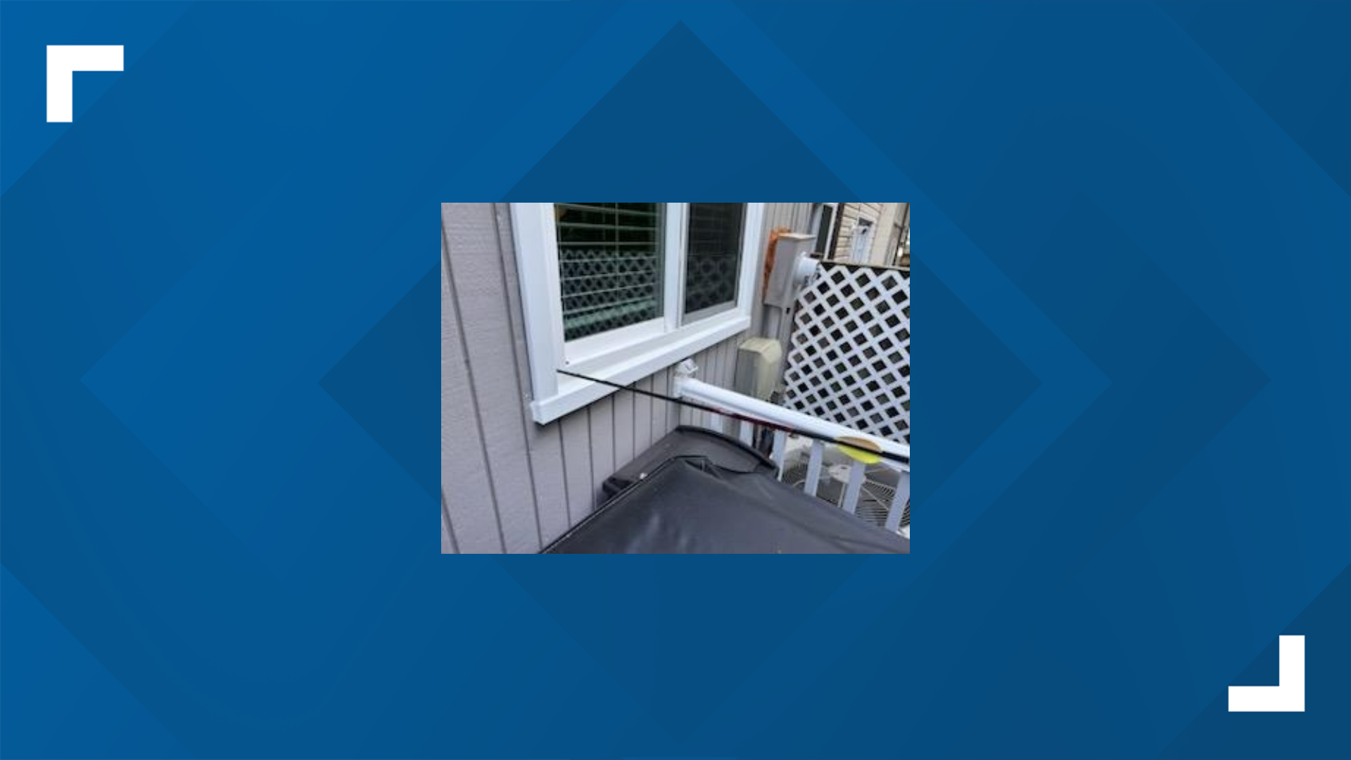 Dog struck by arrow in Woodbridge, Virginia | 10tv.com