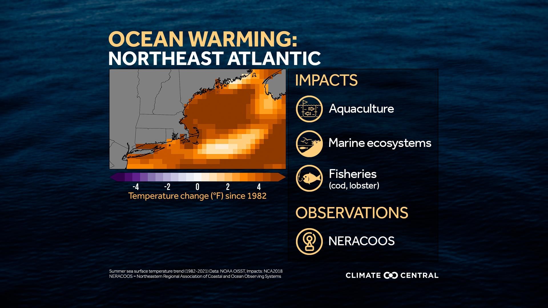 The Chesapeake Bay is warming at a rapid rate | fox43.com