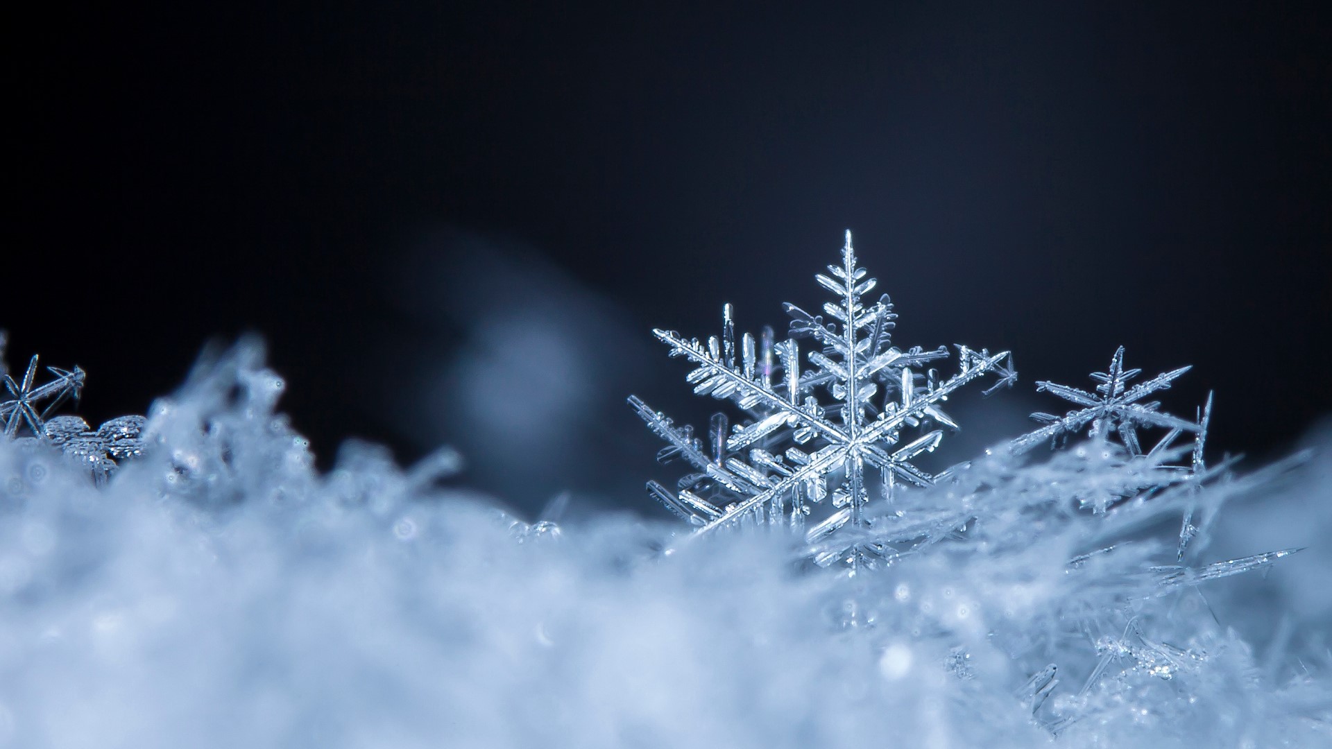 The different types of snowflakes and why they matter | 10tv.com