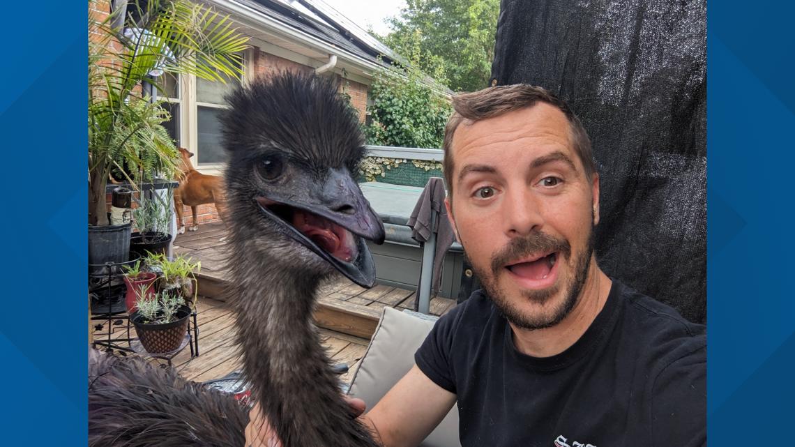 Va. Beach man wins fight to keep emu as emotional support animal | 10tv.com