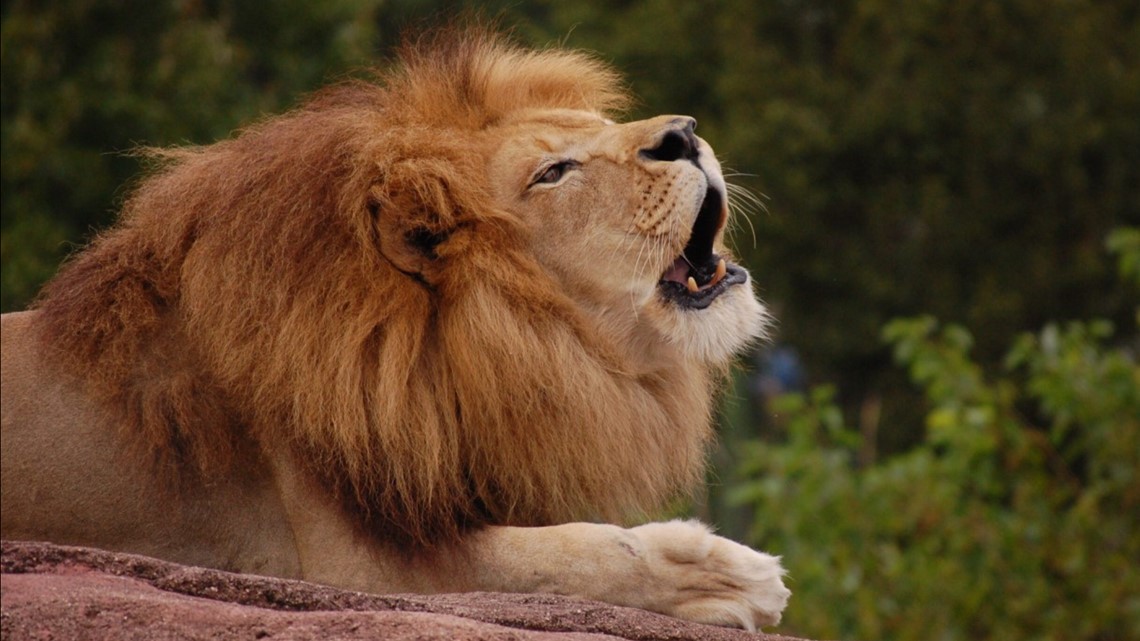 March is coming in like a lion for 2023 in the Quad Cities | wqad.com