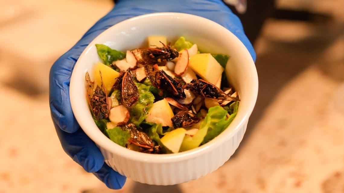 Cicada salads: It's safe to eat cicadas | 5newsonline.com