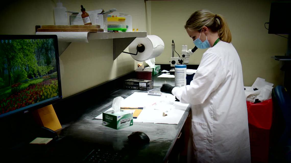 Memphis, Shelby Co. can hire scientists from Jackson crime lab, TN ...