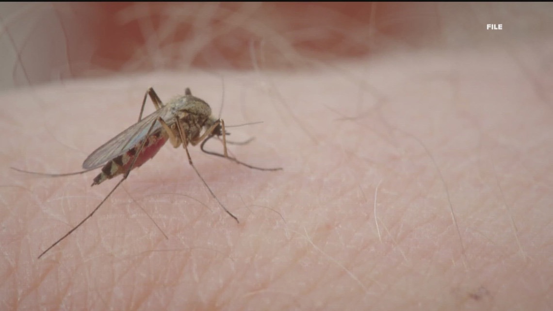 Iowa HHS: First human West Nile case reported in Iowa | weareiowa.com