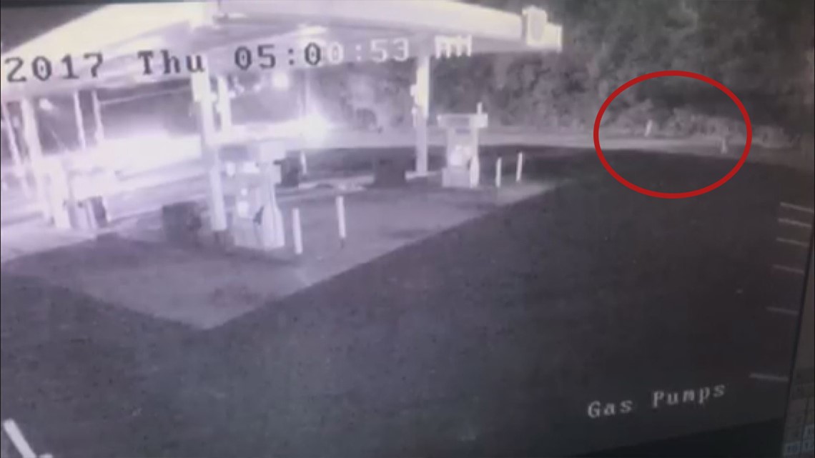 Siblings sneak out for potato chips, 10-year-old hit and killed | wnep.com