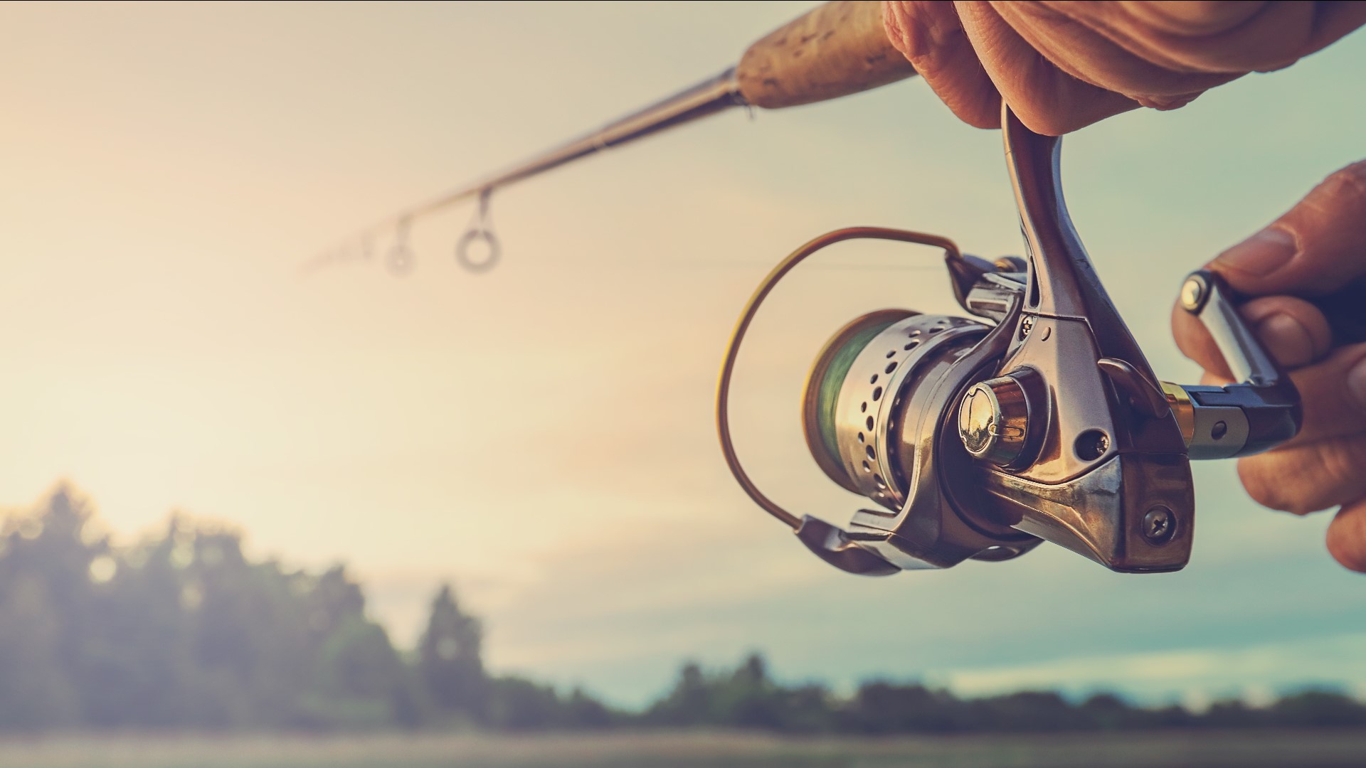 Alabama updates fish consumption advisories after new testing ...