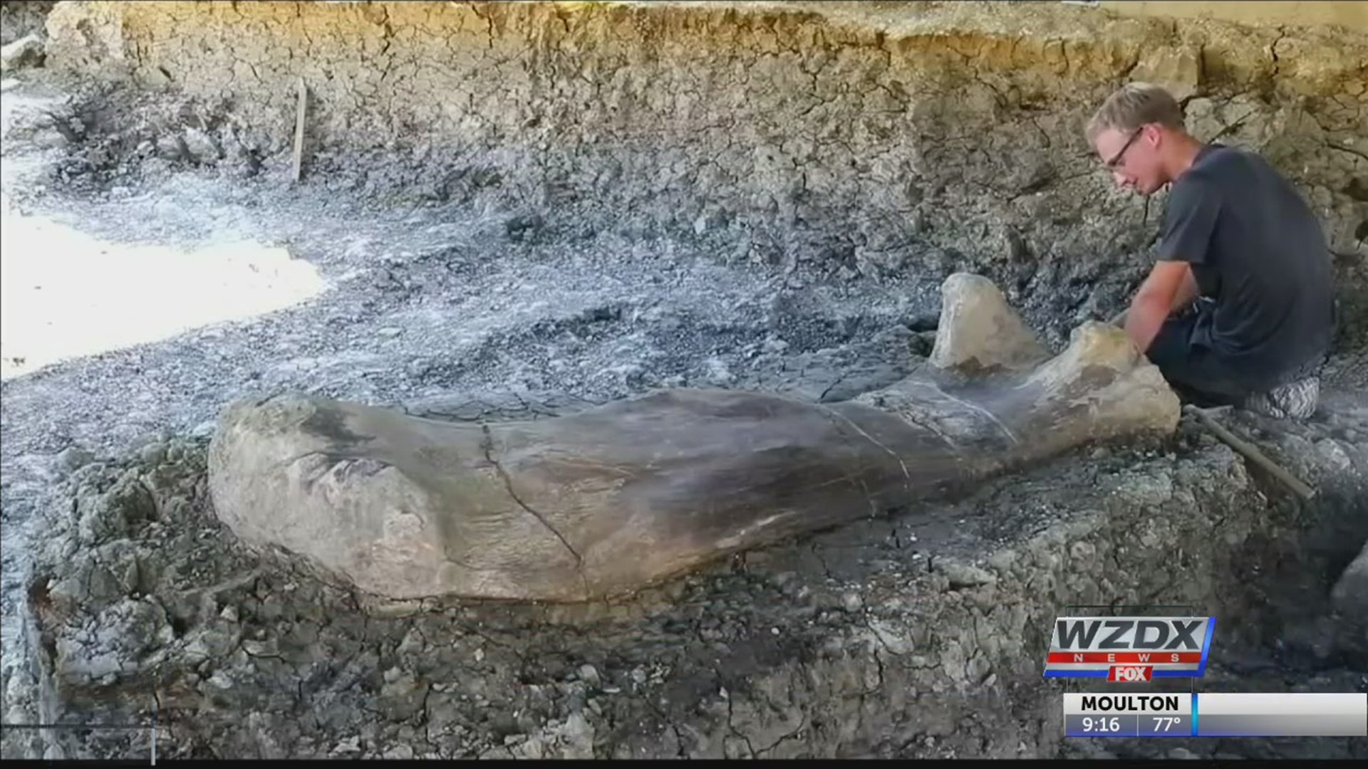 Giant dinosaur bone unearthed in France | rocketcitynow.com