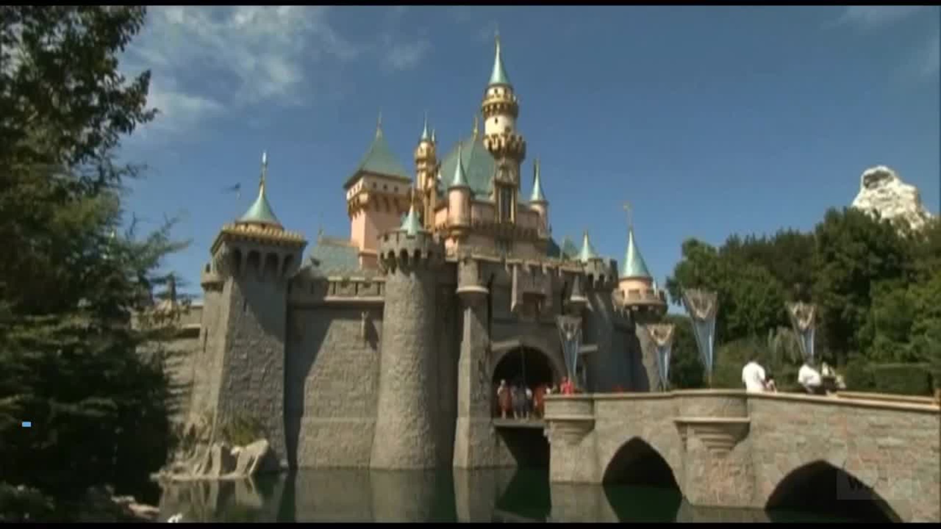 CAUGHT ON CAMERA: Violent brawl breaks out at Disneyland ...