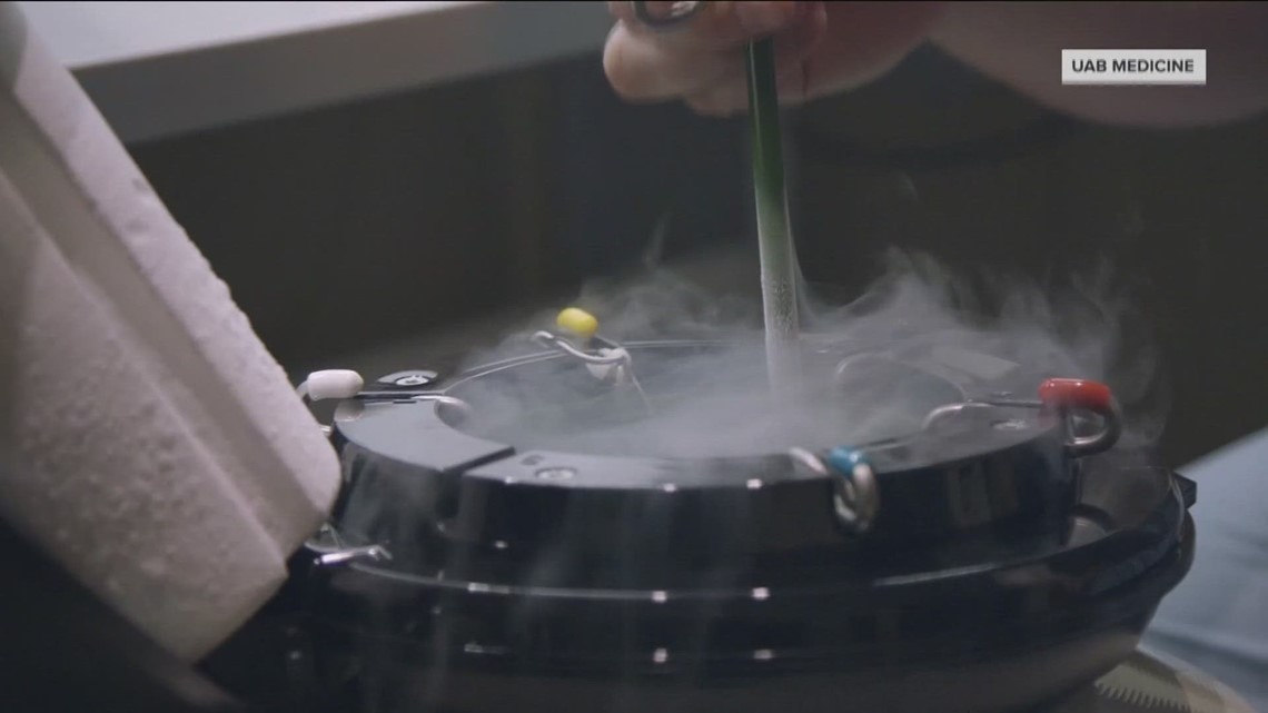 AL gov't working on solution after IVF pauses | rocketcitynow.com