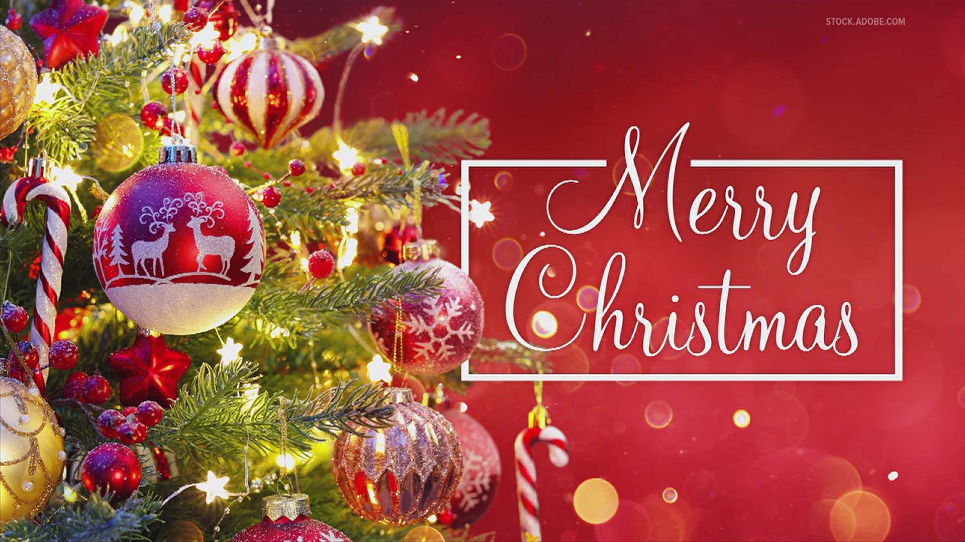 Emily Owen Cookie Making | rocketcitynow.com