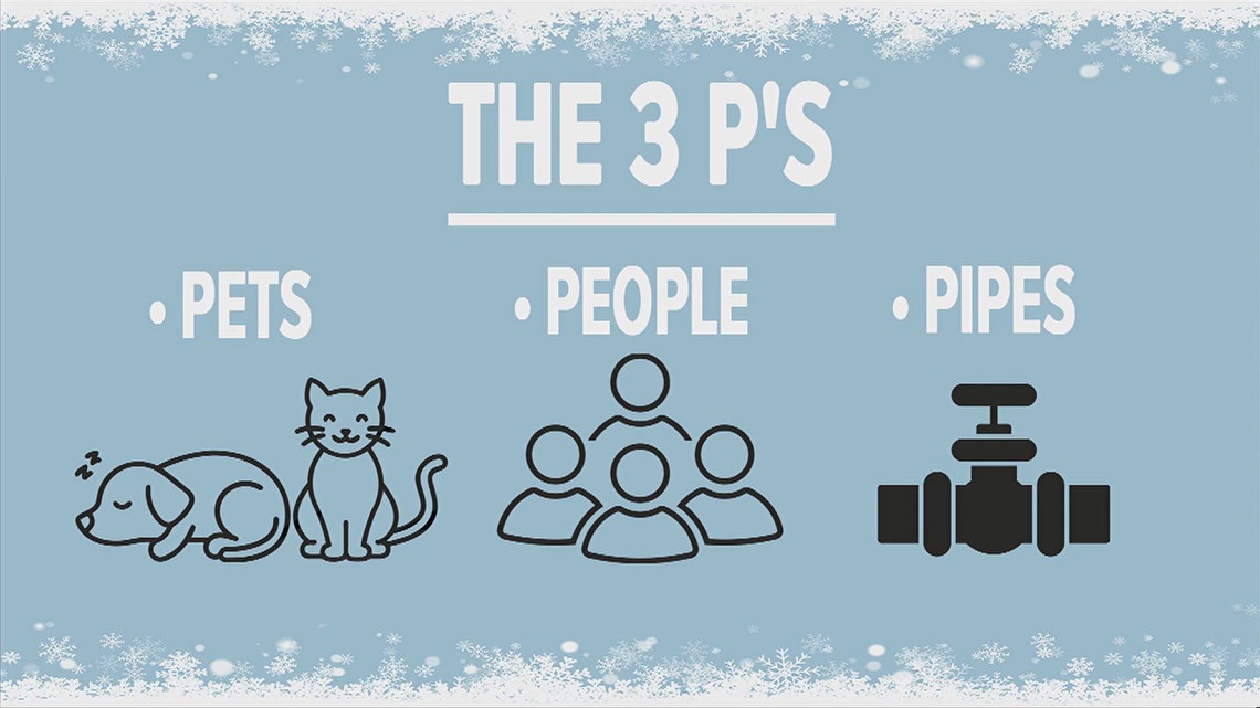 The 3 Ps: People, pets and pipes | rocketcitynow.com