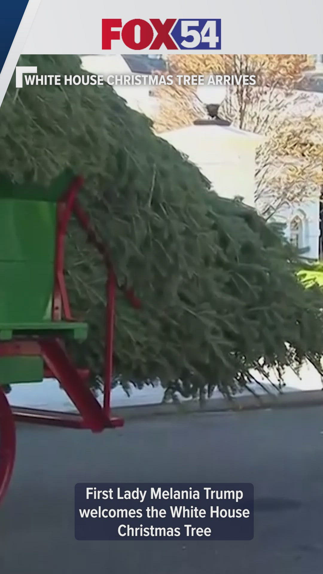 First Lady Melania Trump welcomes 'beautiful' Christmas tree to White ...