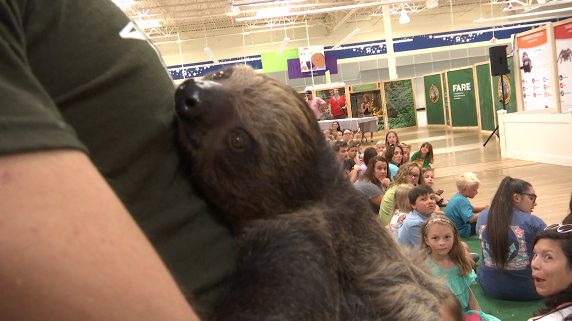 WEB EXTRA: Zoologist talks and shows off animals inside new animal ...