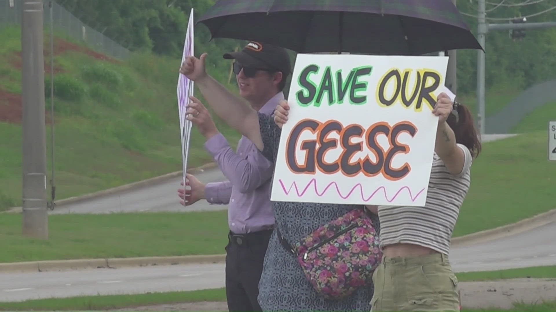 Residents protest plan to euthanize geese in Edgewater | rocketcitynow.com