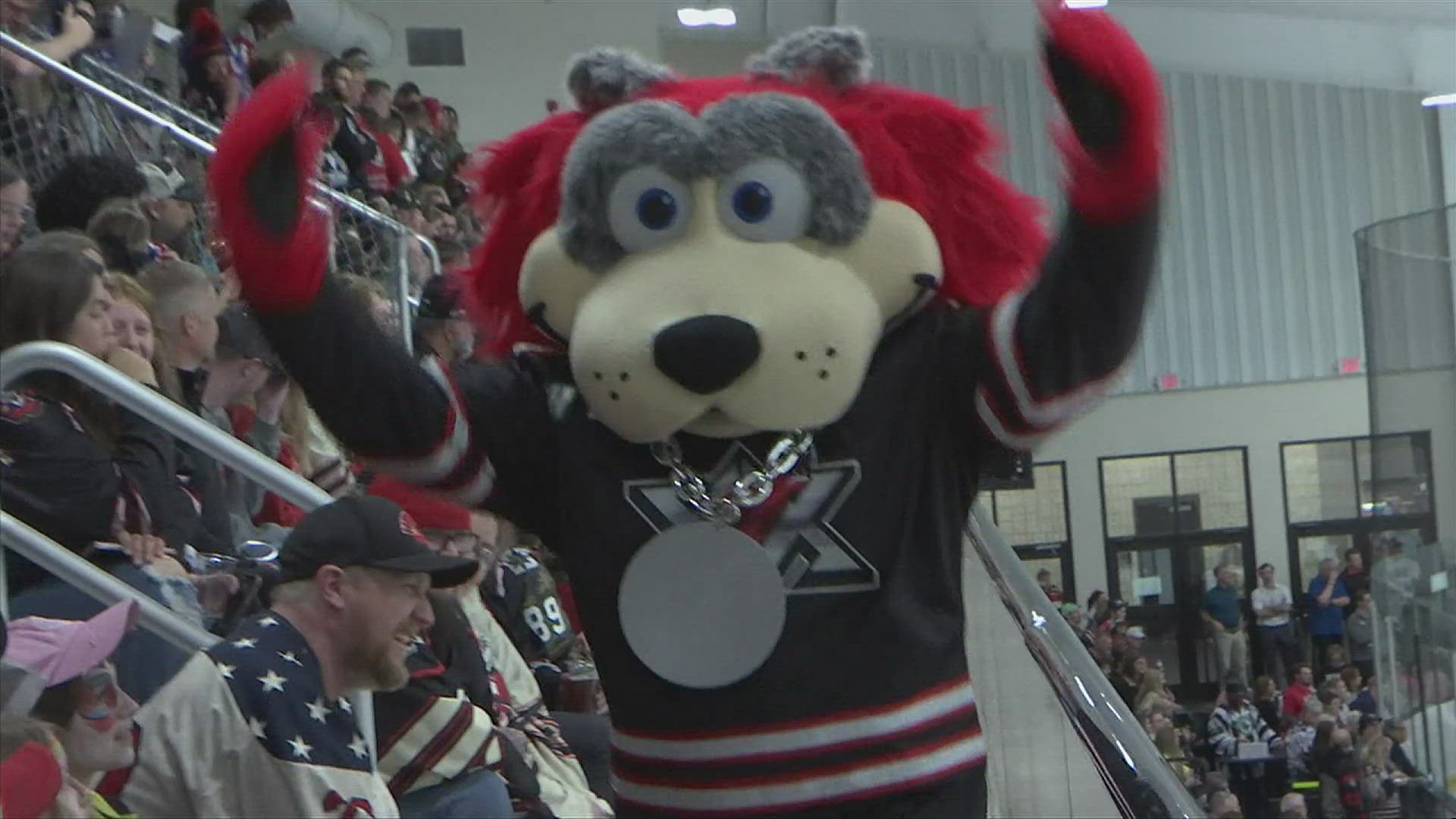Fantastic fans: Huntsville Havoc set the standard... again ...