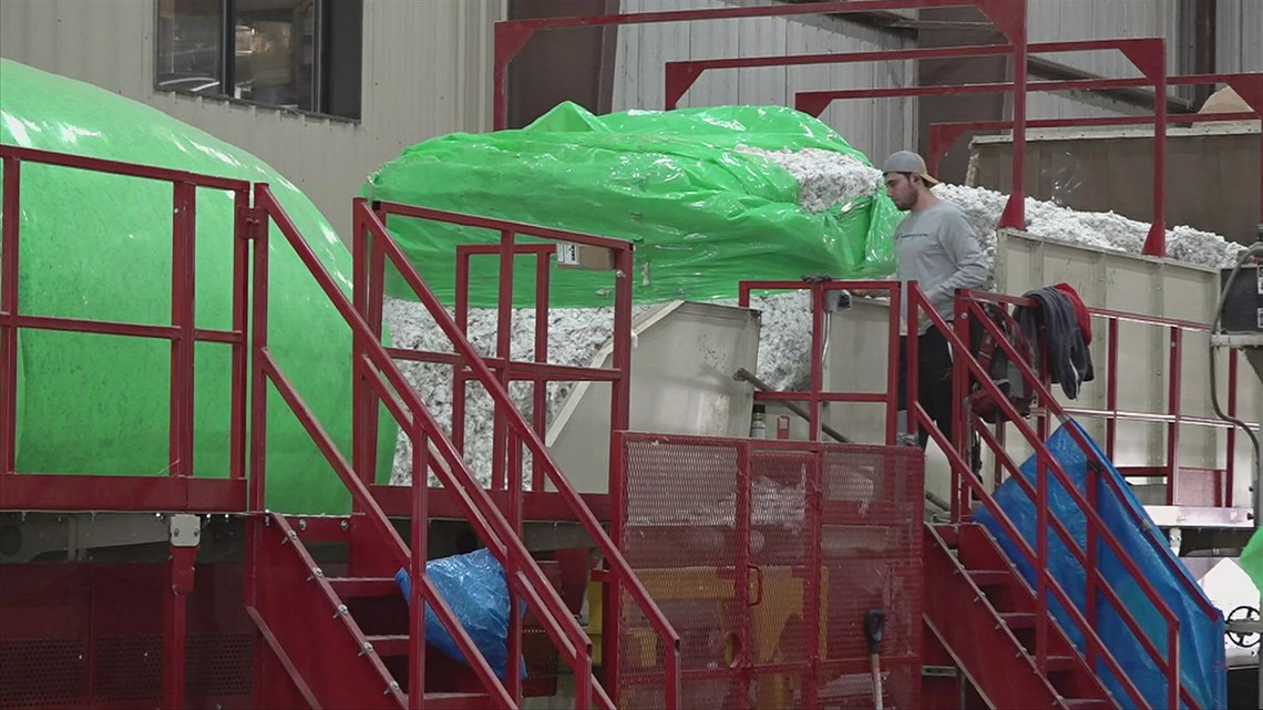 Bridgeforth's Secret? Local farm partners with Victoria's Secret | rocketcitynow.com