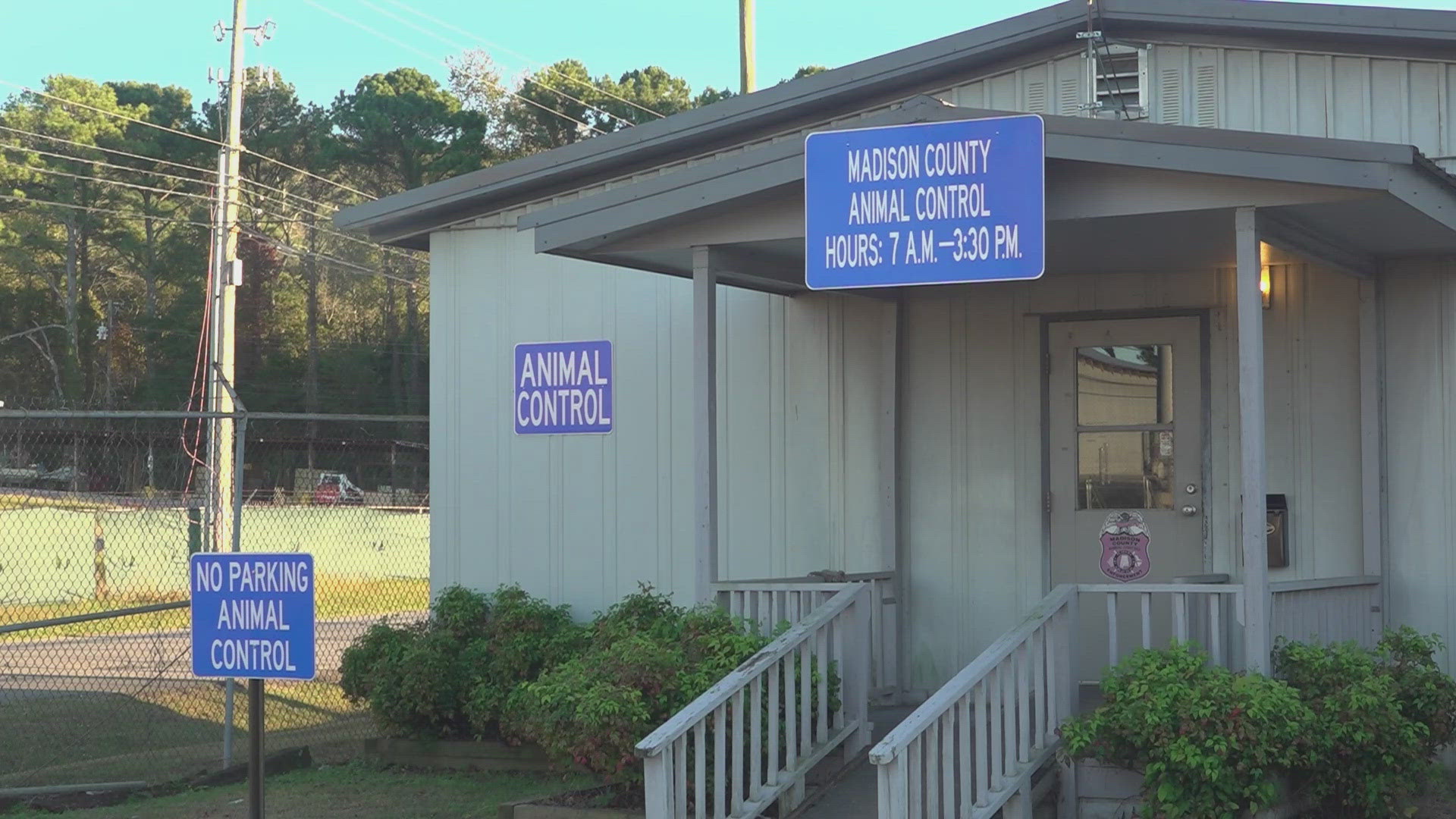 Madison County stray animal policy aims to streamline care, not cut ...