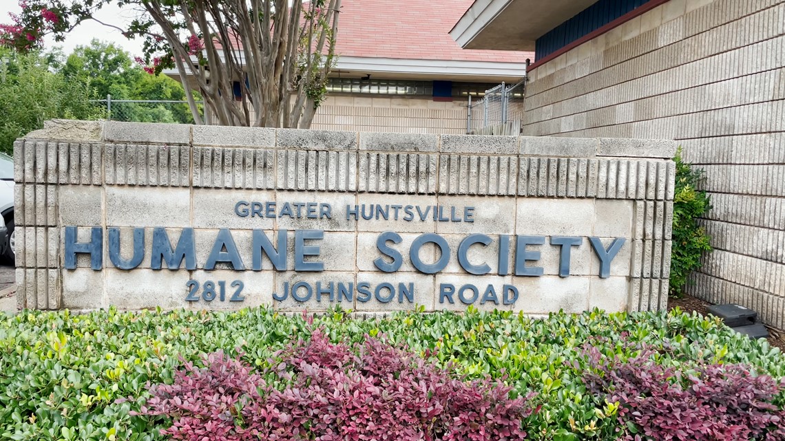 Greater Huntsville Humane Society | rocketcitynow.com