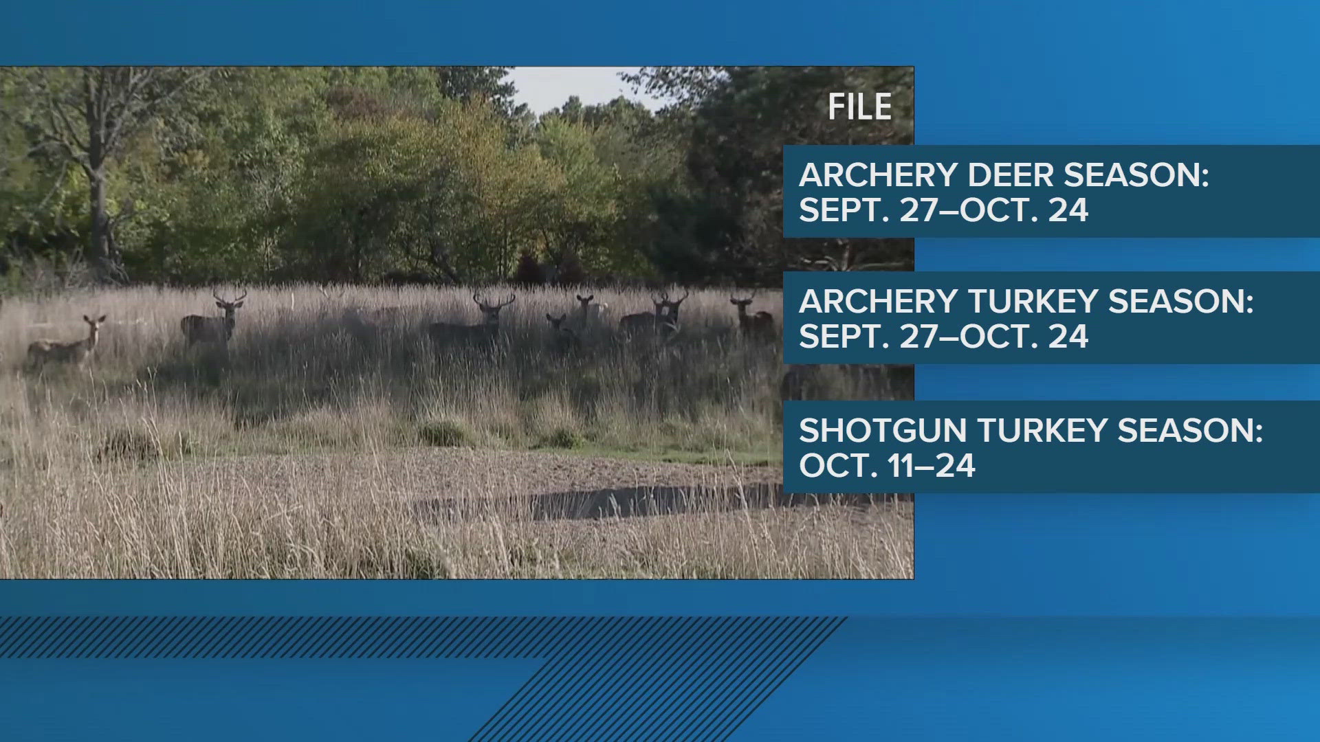 Tennessee: Archery-Only Deer and Fall Turkey Season Starts Sept. 27 | rocketcitynow.com