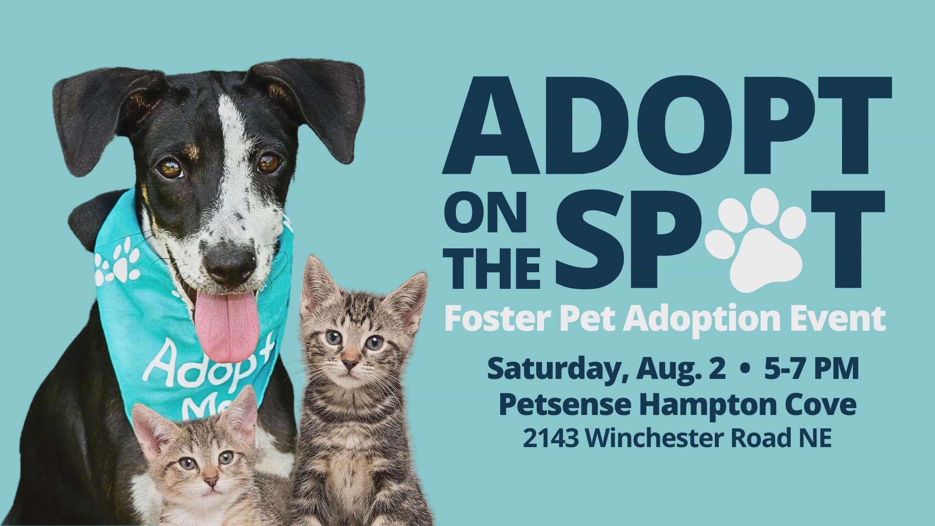 Huntsville launches Clear the Shelters events this August ...