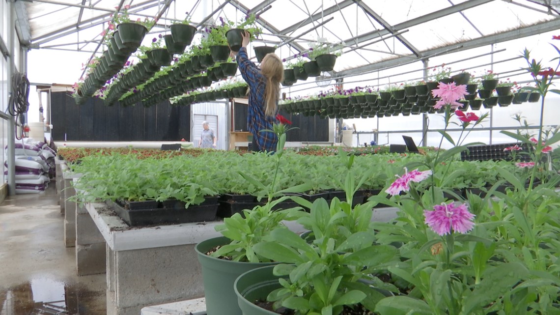 Morgan County STARS selling plants this spring | rocketcitynow.com