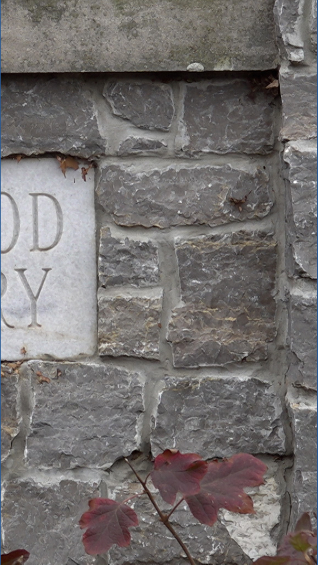 DAR chapter dedicates QR code sign for digital walking tour at historic ...