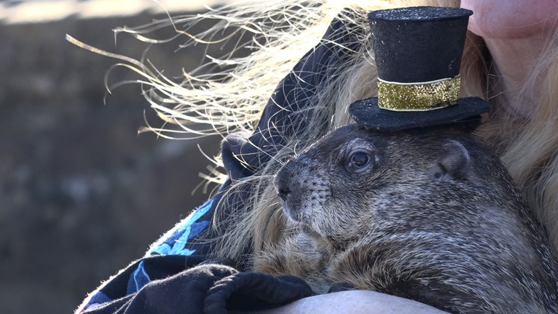 Local groundhog answers: will we see spring or more winter ...