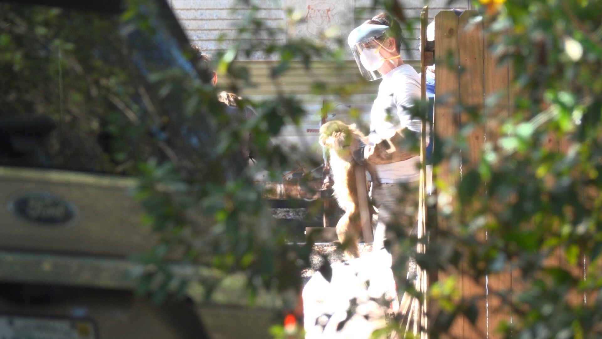Federal agents raid Alabama home, taking away several monkeys ...